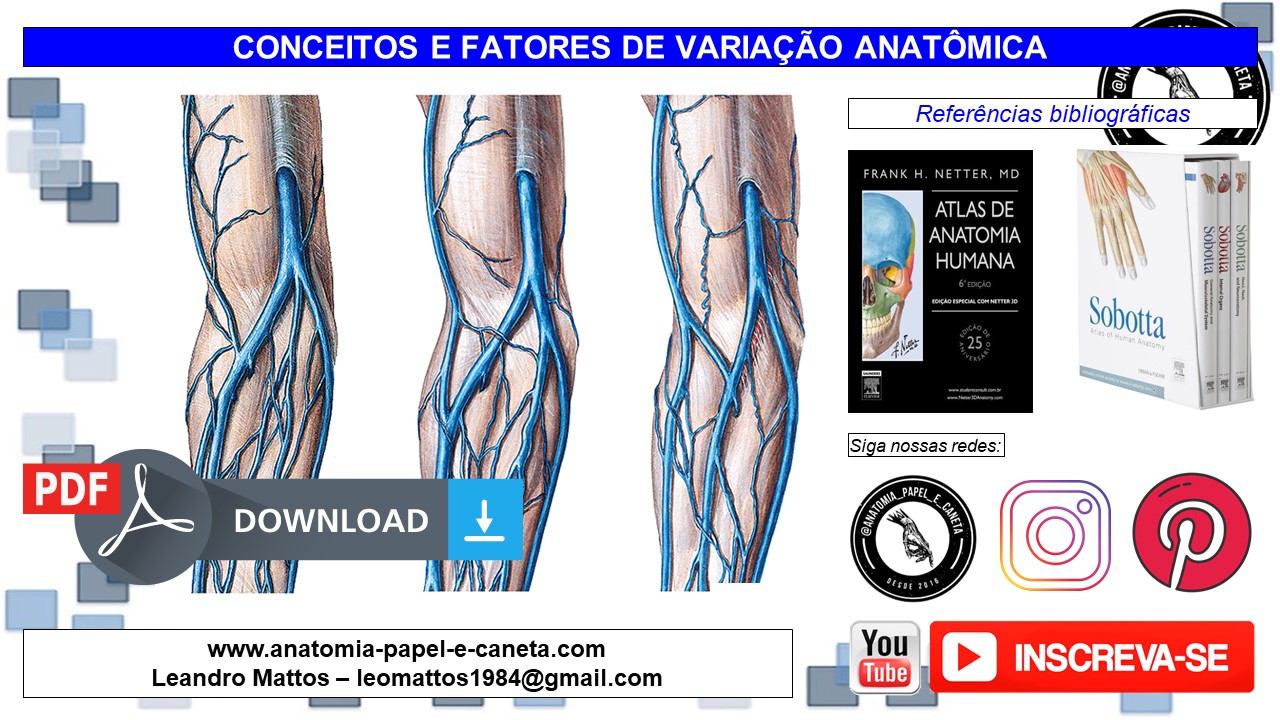 Conceitos e fatores de variação anatômica – Anatomia papel e caneta