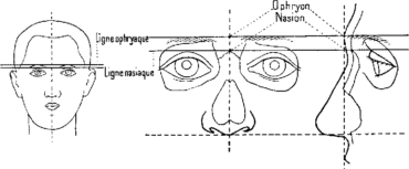 Pontos craniométricos / cefalométricos – Anatomia papel e caneta