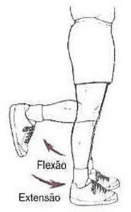 MEMBRO SUPERIOR E INFERIOR, dropped image link, Acadêmicas: Renata…