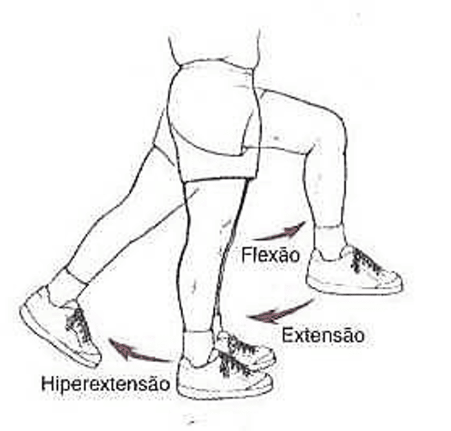 Movimentos do corpo humano – Anatomia papel e caneta